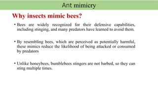 Imitative strategies in insects: The mechanism of mimicry | PPT | Free ...