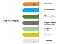 Imitative strategies in insects: The mechanism of mimicry | PPT | Free ...