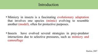 Imitative strategies in insects: The mechanism of mimicry | PPT | Free ...