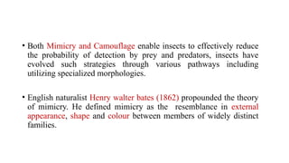Imitative strategies in insects: The mechanism of mimicry | PPT | Free ...