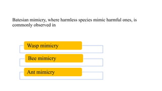 Imitative strategies in insects: The mechanism of mimicry | PPT | Free ...