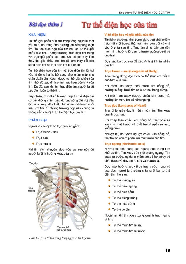 Doc dien tim de hon (or) | PDF