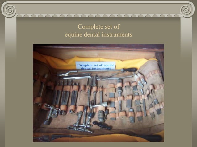 Docent Guide - The Wisconsin Museum of Veterinary Medicine - PowerPoint ...