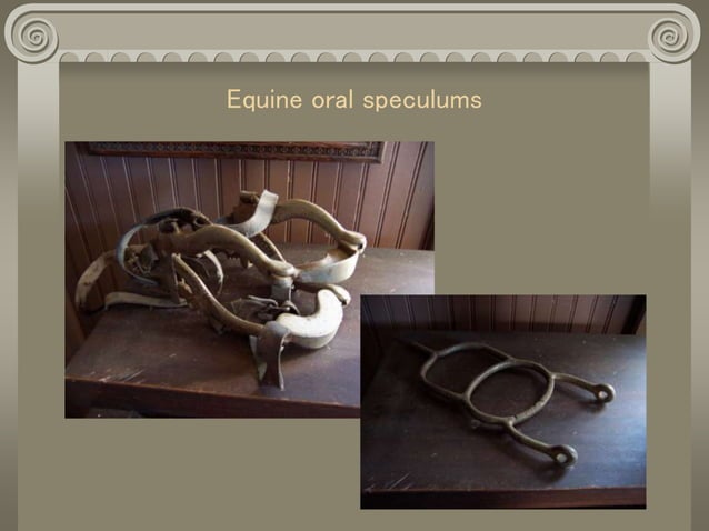 Docent Guide - The Wisconsin Museum of Veterinary Medicine - PowerPoint ...