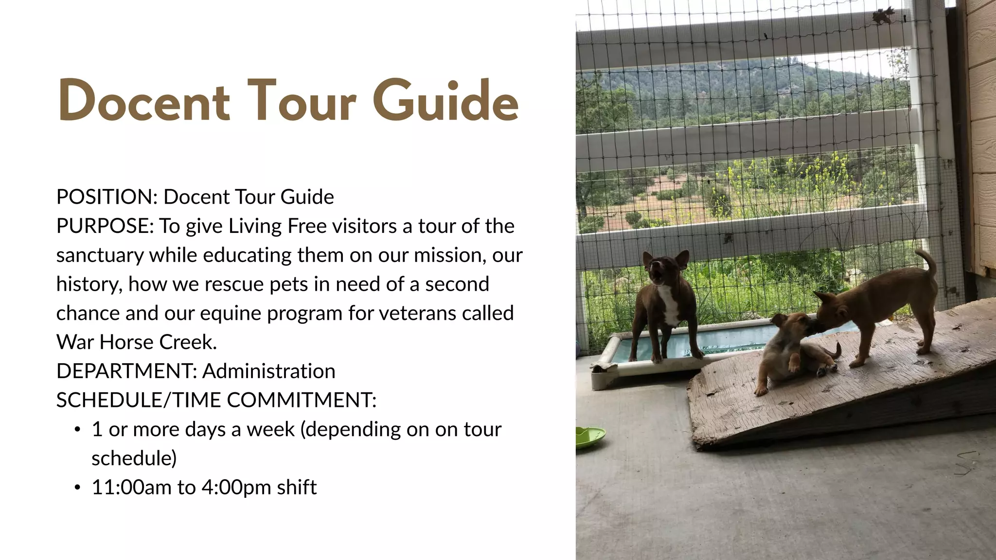 Docent Tour Guide Volunteer Description | PPT