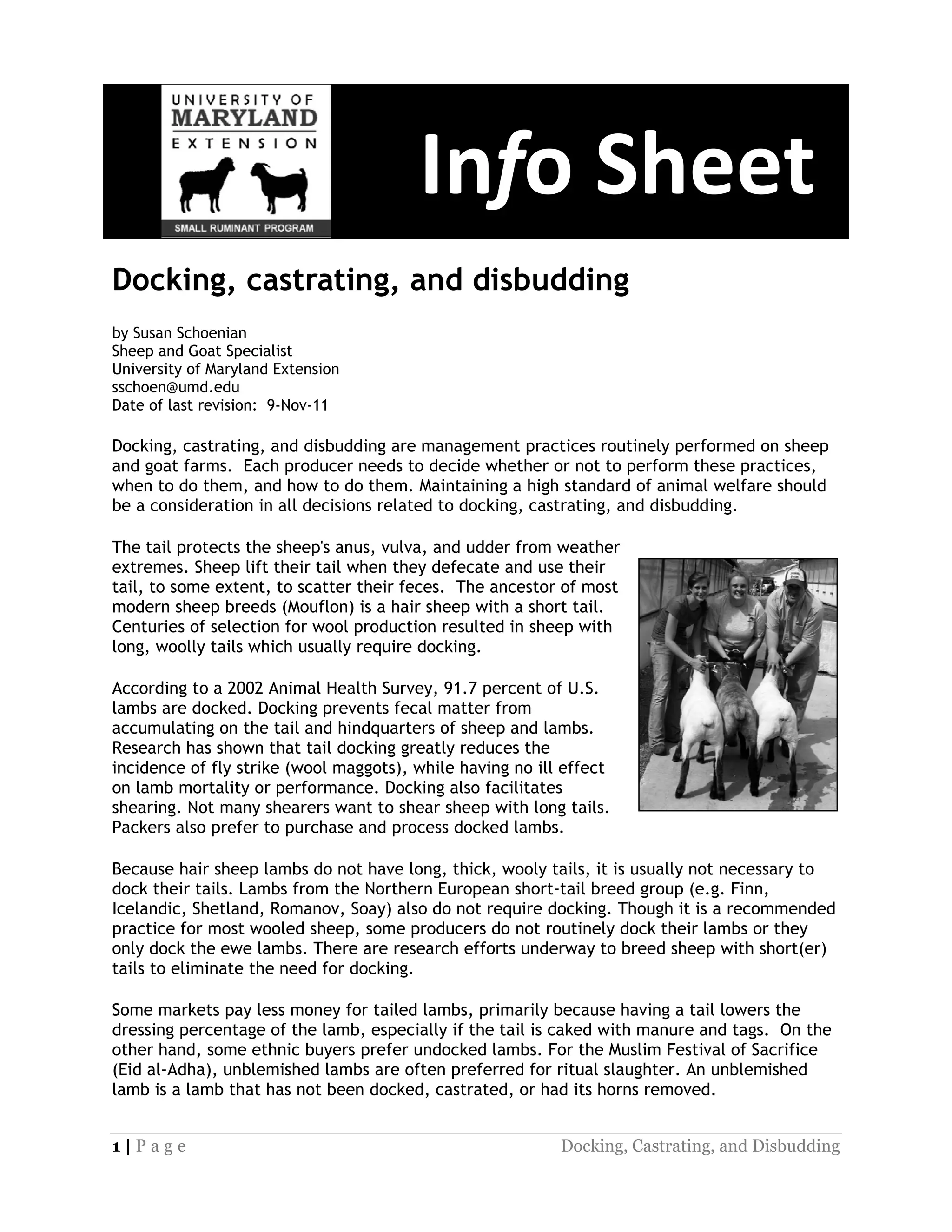 Docking, castrating, and disbudding | PDF