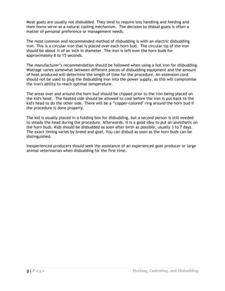 Docking, castrating, and disbudding | PDF