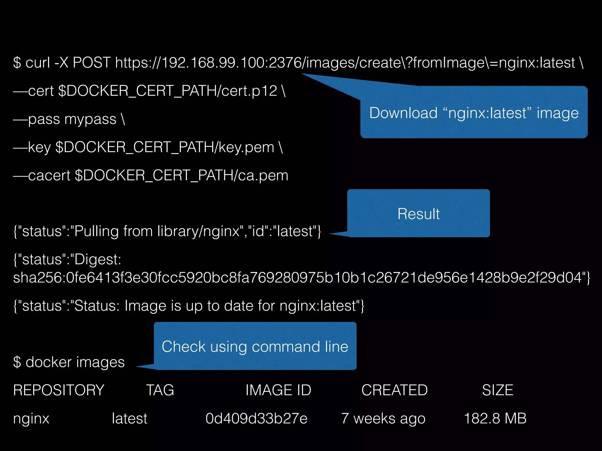 Docker Remote Api Ppt