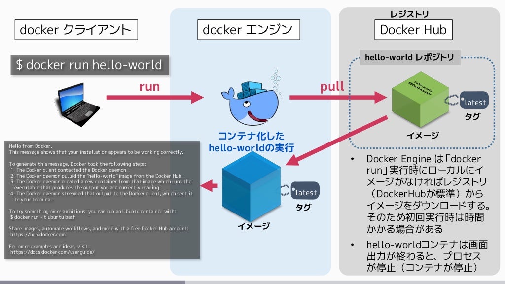 Dockerイメージの理解とコンテナのライフサイクル