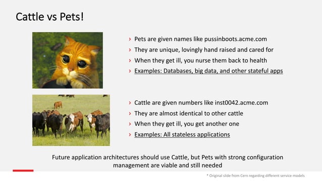 Database Containerization Platform Checklist Pdf