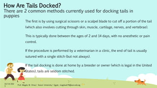 DOCKING (2).pdf