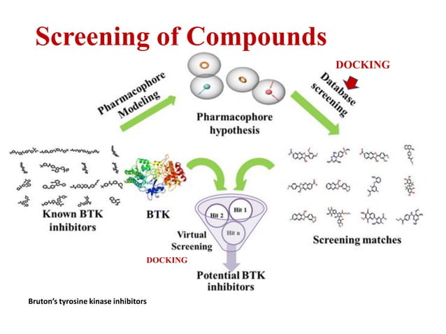 Docking techniques | PDF | Chemistry | Science