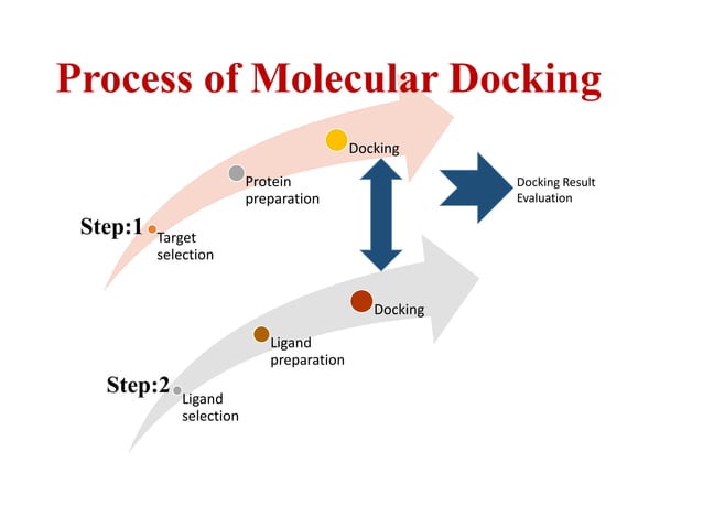 Docking techniques | PDF | Chemistry | Science