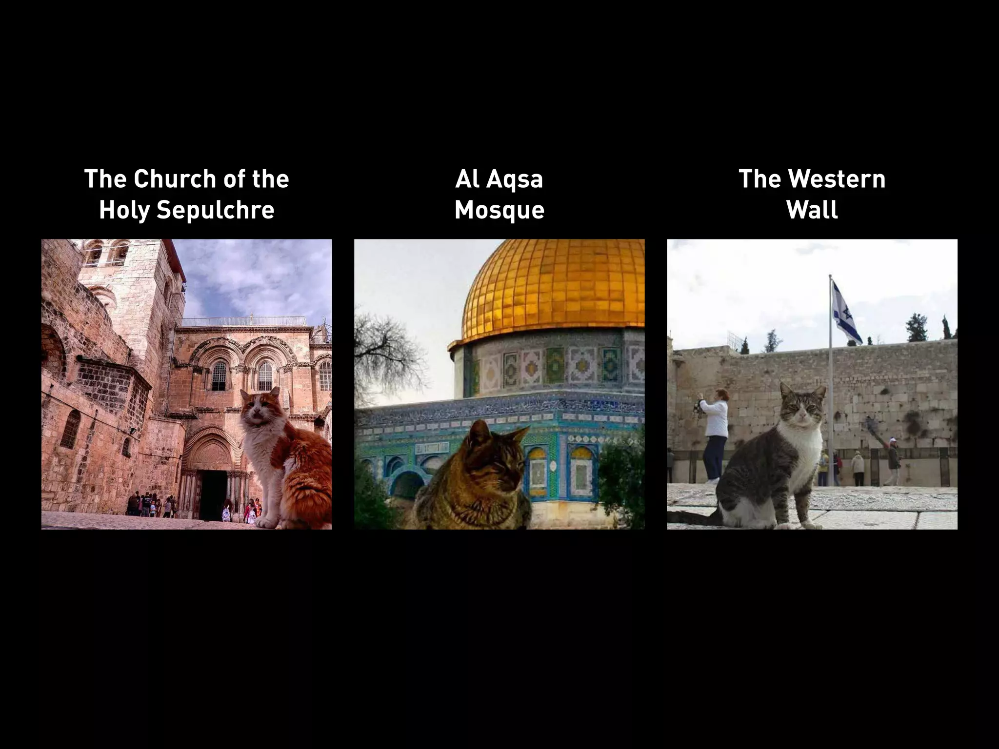 Oh My God (OMG) - Pray, Pose, Upload | PDF