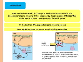 RNA interference | PPTX
