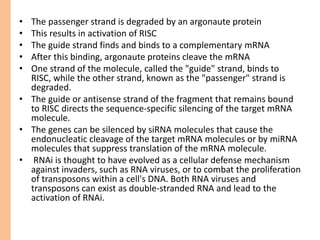 RNA interference | PPTX