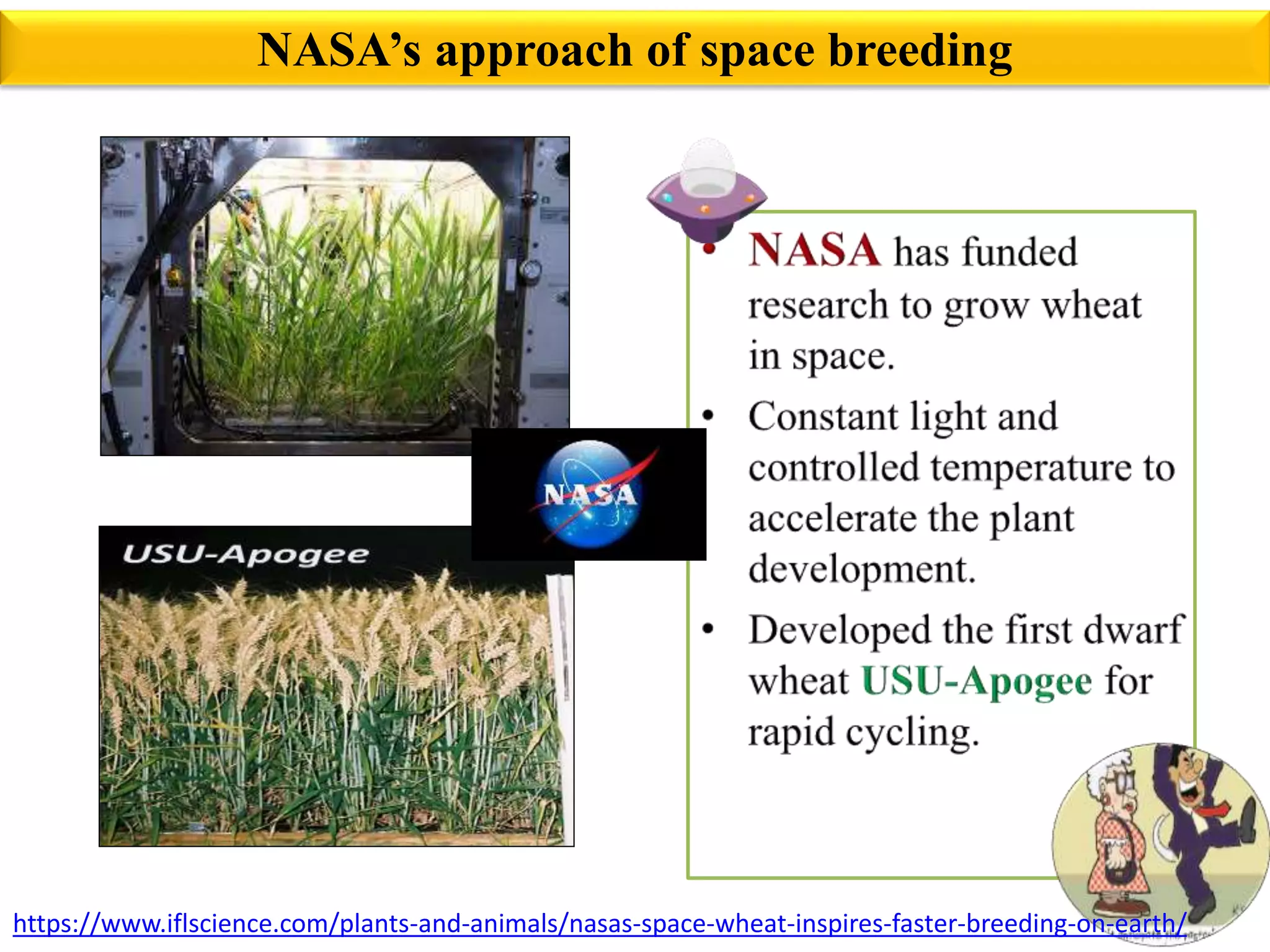 Speed Breeding for crop improvement | PPTX