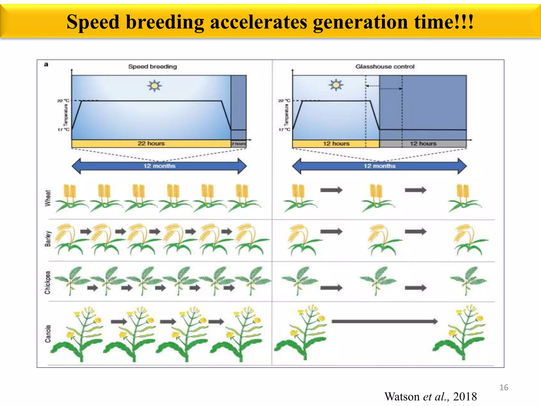 Speed Breeding for crop improvement | PPTX
