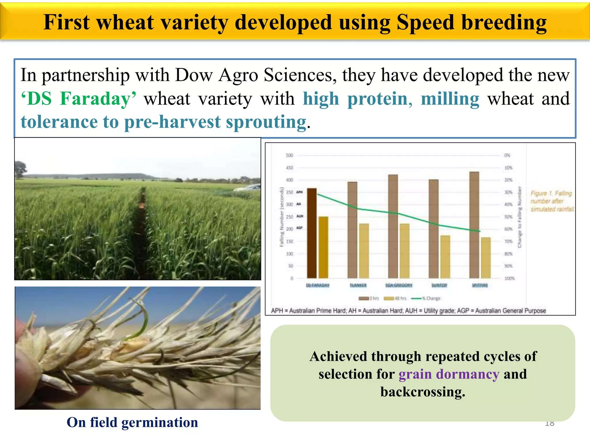 Speed Breeding for crop improvement | PPTX