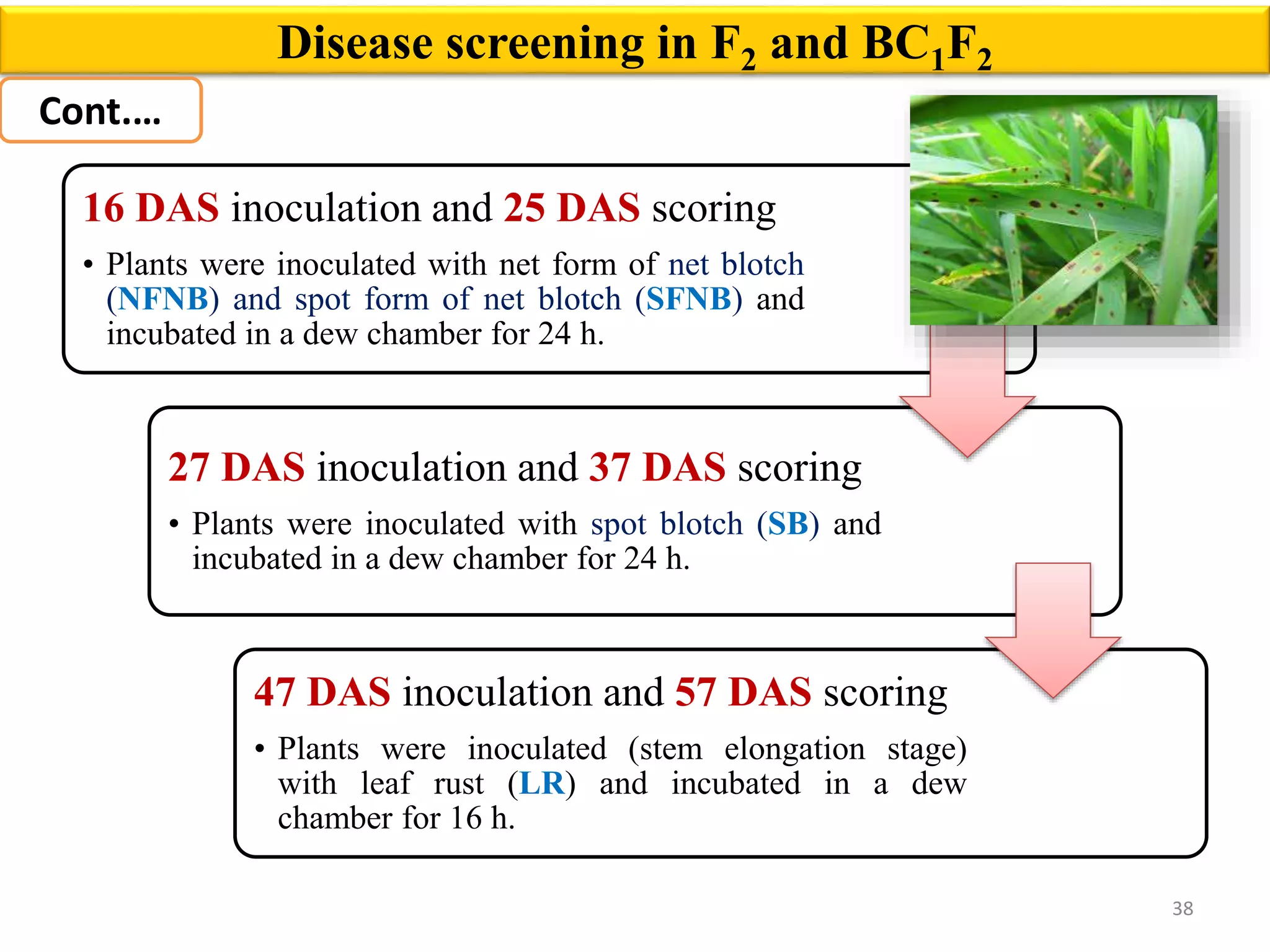 Speed Breeding for crop improvement | PPTX