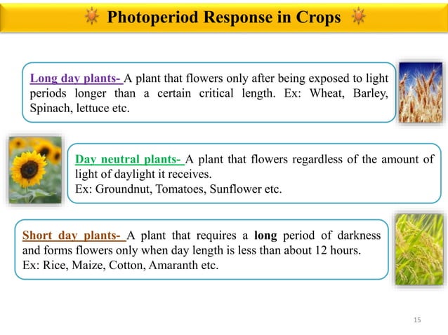 Speed Breeding for crop improvement | PPTX | Agriculture | Industries