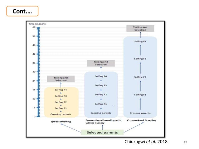 Speed Breeding for crop improvement | PPTX | Agriculture | Industries