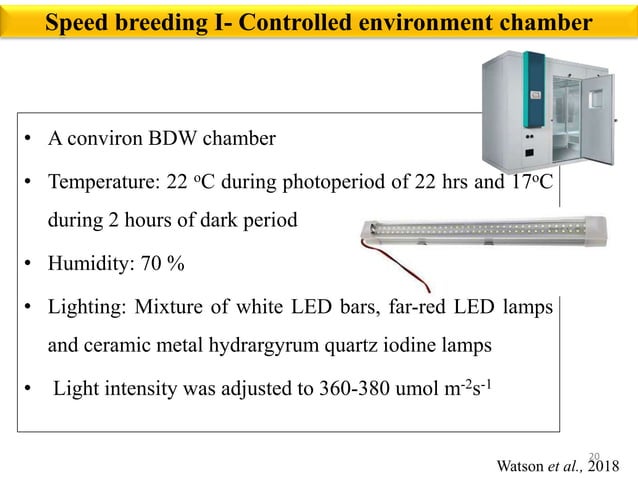 Speed Breeding for crop improvement | PPTX | Agriculture | Industries
