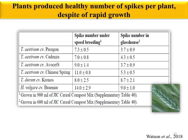 Speed Breeding for crop improvement | PPTX | Agriculture | Industries
