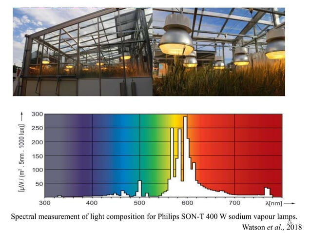 Speed Breeding for crop improvement | PPTX | Agriculture | Industries