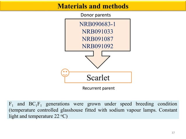 Speed Breeding for crop improvement | PPTX | Agriculture | Industries