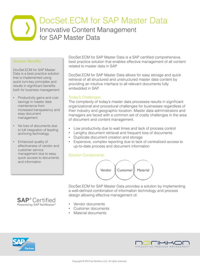 DocSet for SAP Master Data | PDF