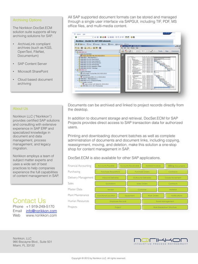 DocSet for SAP Projects | PDF