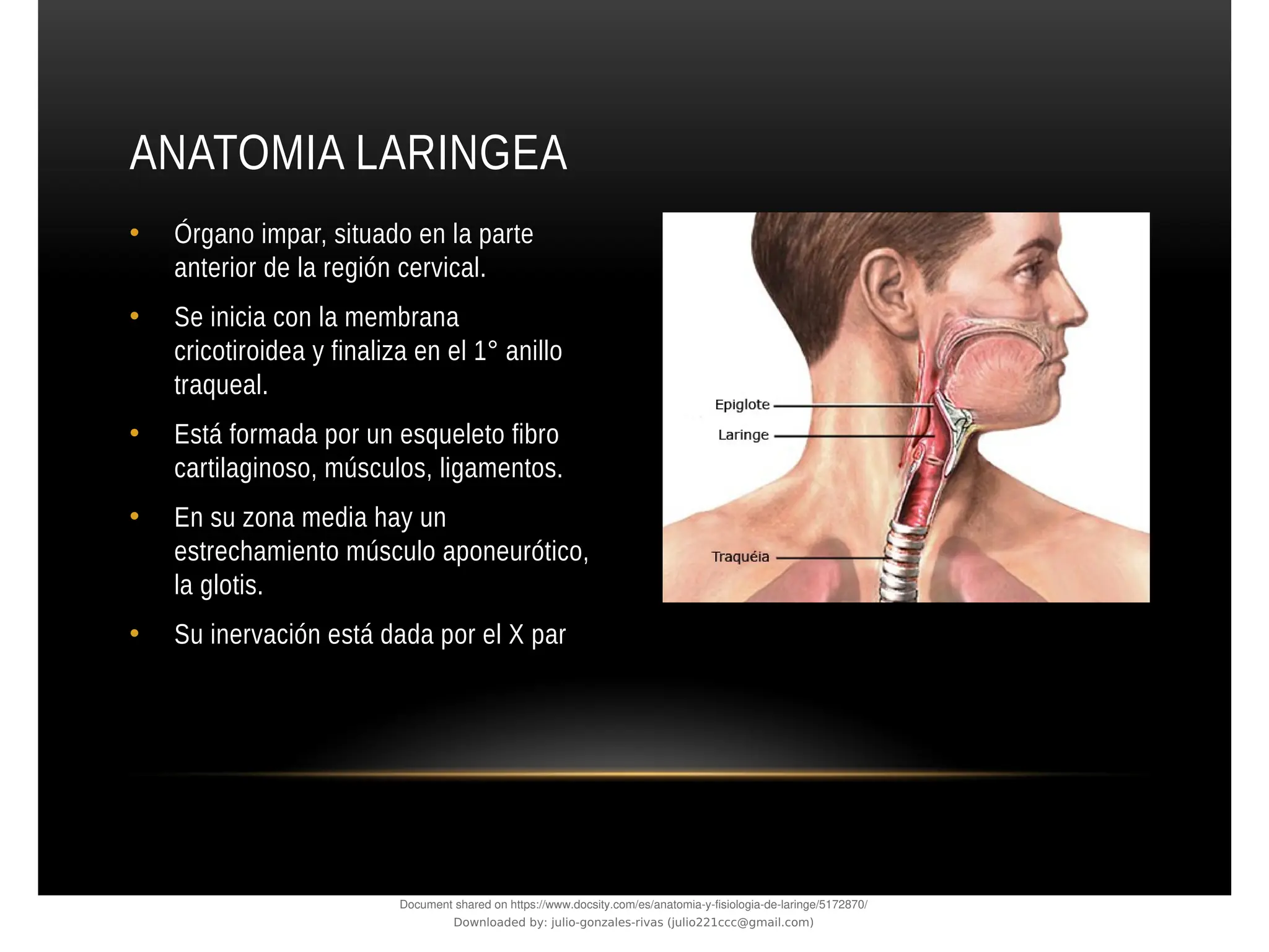 docsity-anatomia-y-fisiologia-de-laringe.pdf