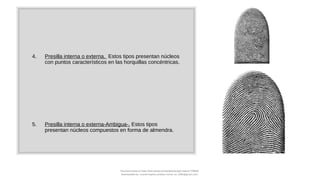 docsity-dactiloscopia-historia.pdf pdf pd | PDF