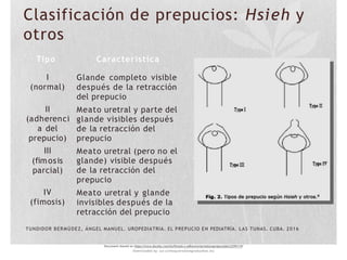 docsity-fimosis-y-adherencias-balonoprepuciales.pptx
