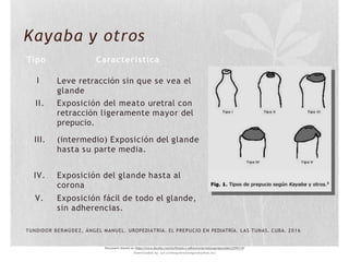 docsity-fimosis-y-adherencias-balonoprepuciales.pptx