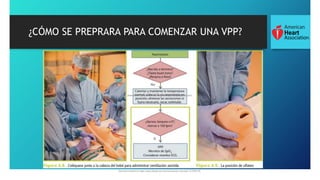 docsity-reanimacion-neonatal pediatría notice | PDF