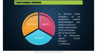 docsity-triada-ecologica-proceso-salud-enfermedad.pdf