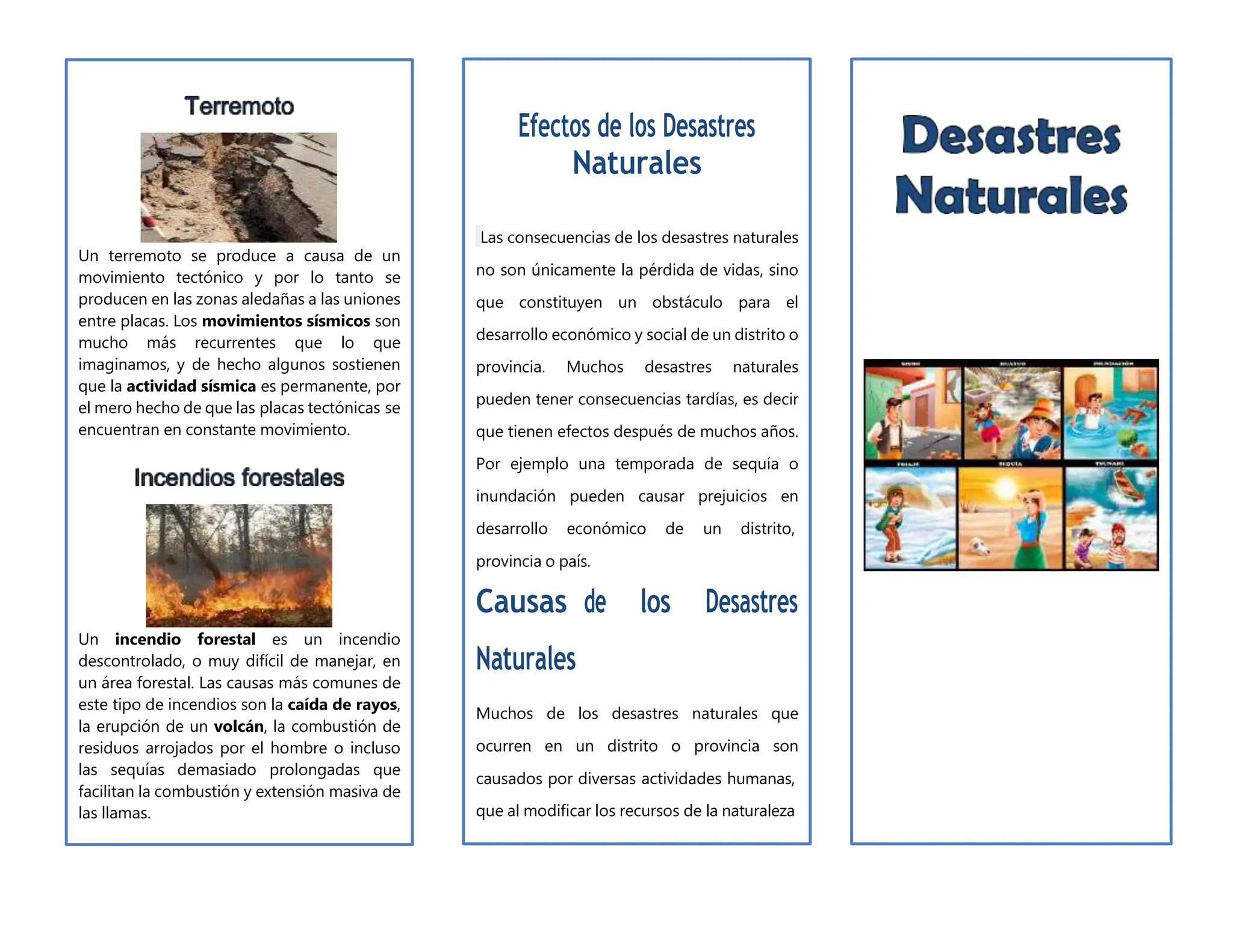 Docsity Triptico De Desastres Naturales Docx