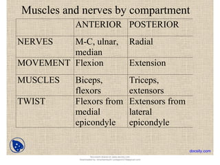 -upper-limb-basic-human-anatomy-lecture-slides.pdf | Death, Injury, or Military Conflict ...