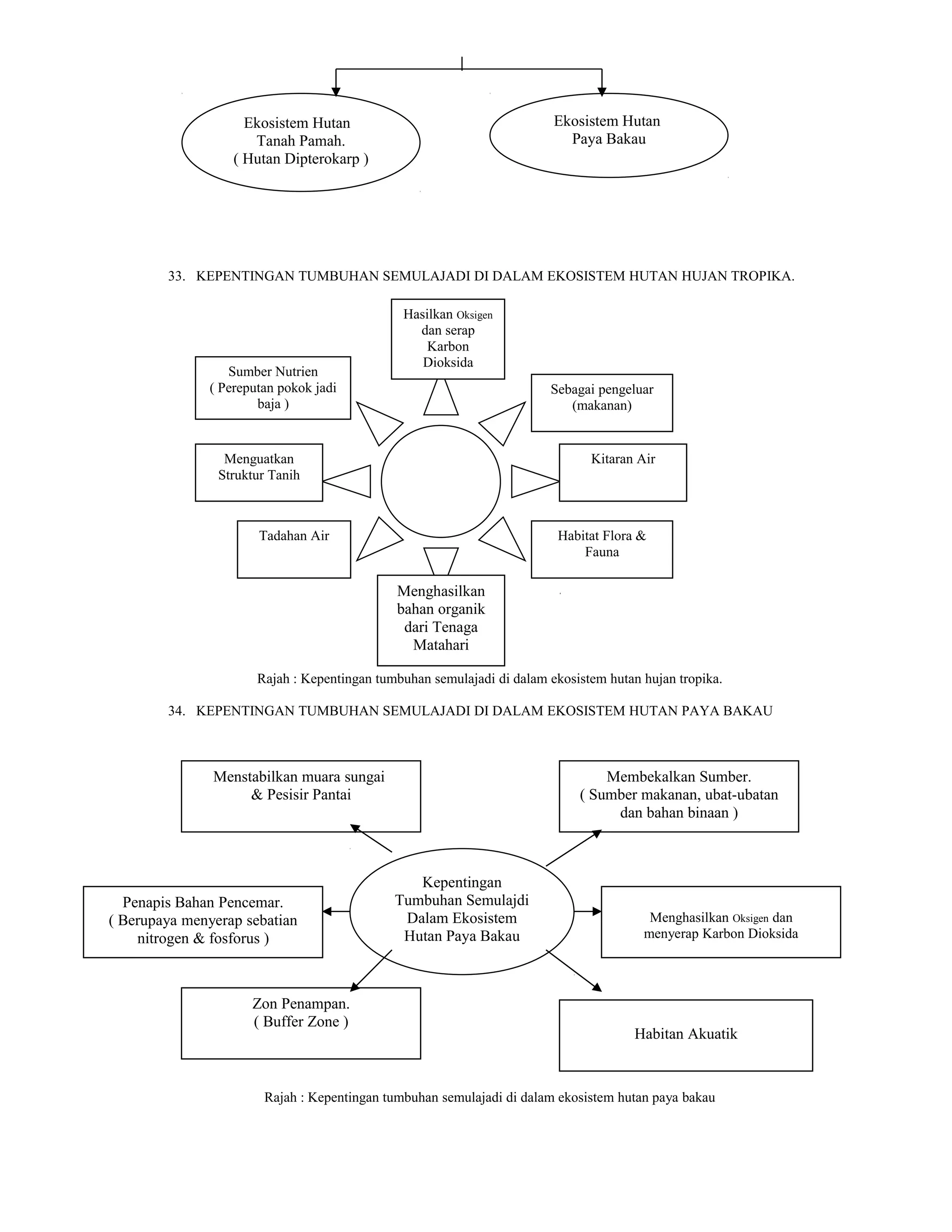 Docslide.net nota geografi-tingkatan-4 | DOC