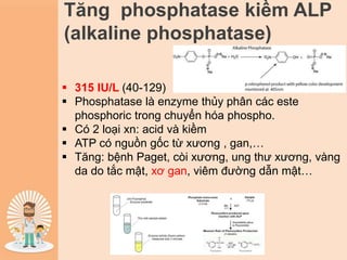 Phân tích CLS xơ gan do rượu | PPTX