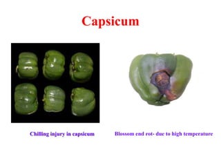 Doctoral credit seminar | PPT