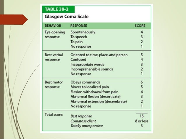 AN APPROACH TO NEUROLOGICAL EMERGENCIES IN DOGS