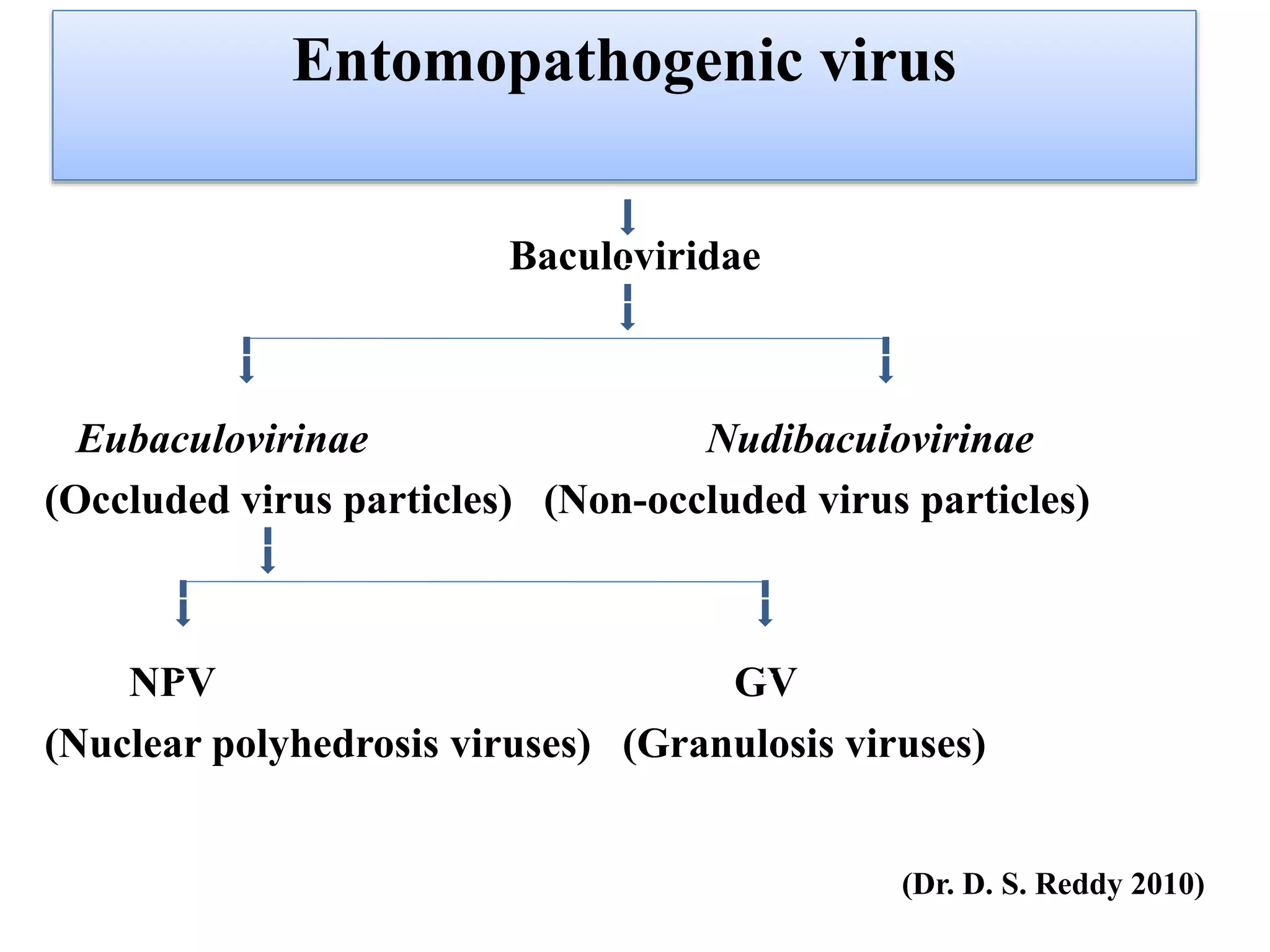 entomopathogenic microbes in the management of insect | PPTX