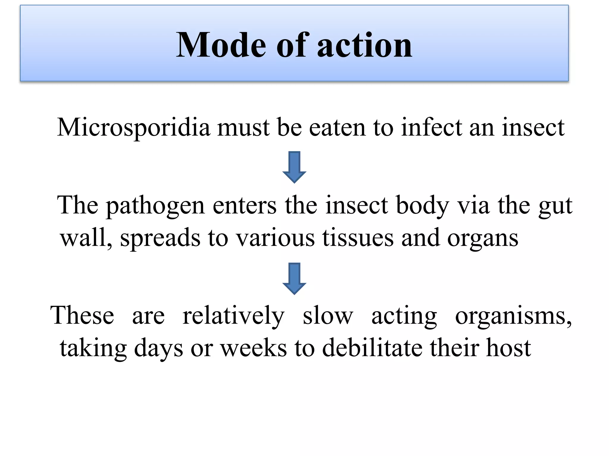 entomopathogenic microbes in the management of insect | PPTX