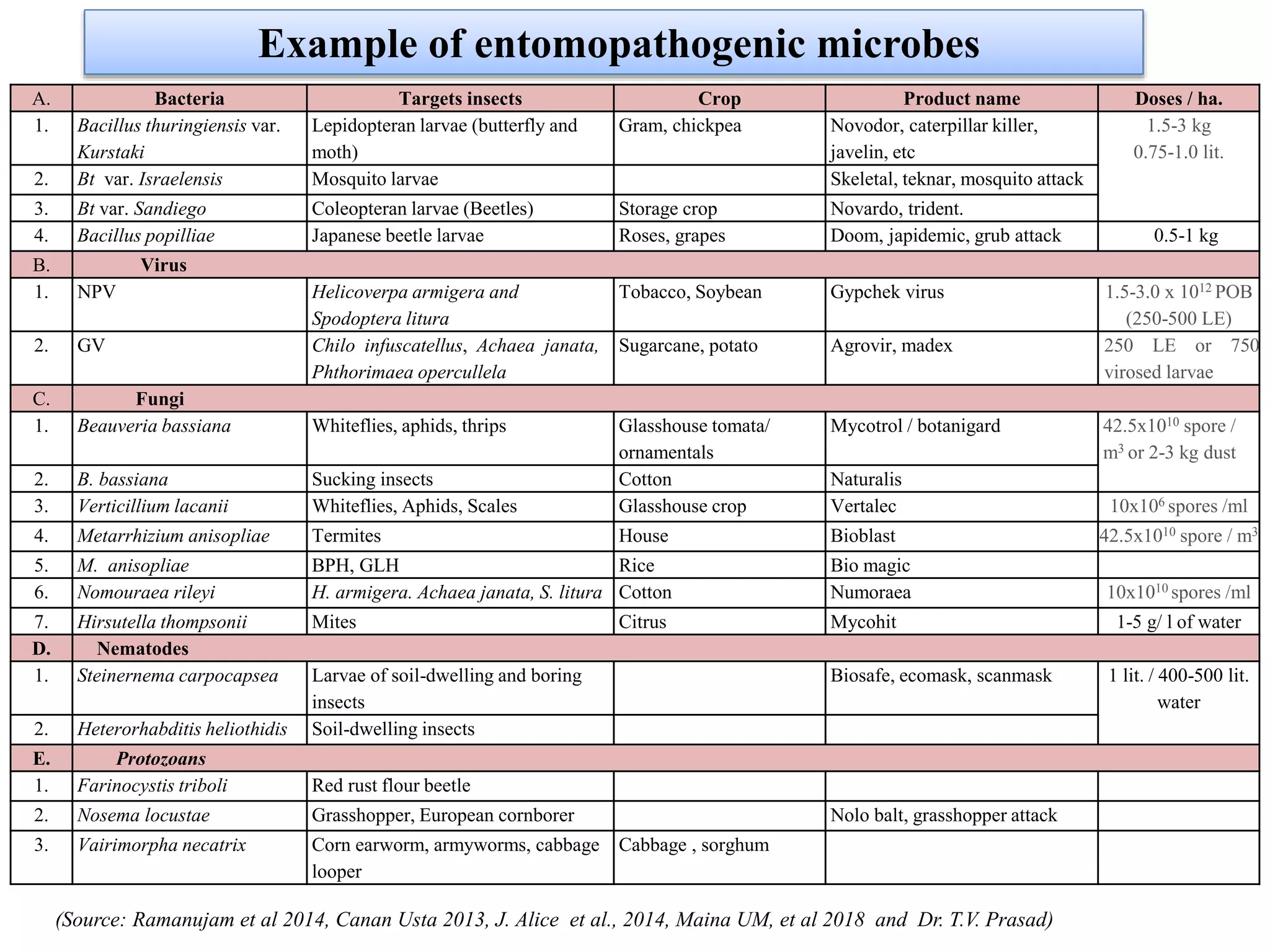 entomopathogenic microbes in the management of insect | PPTX