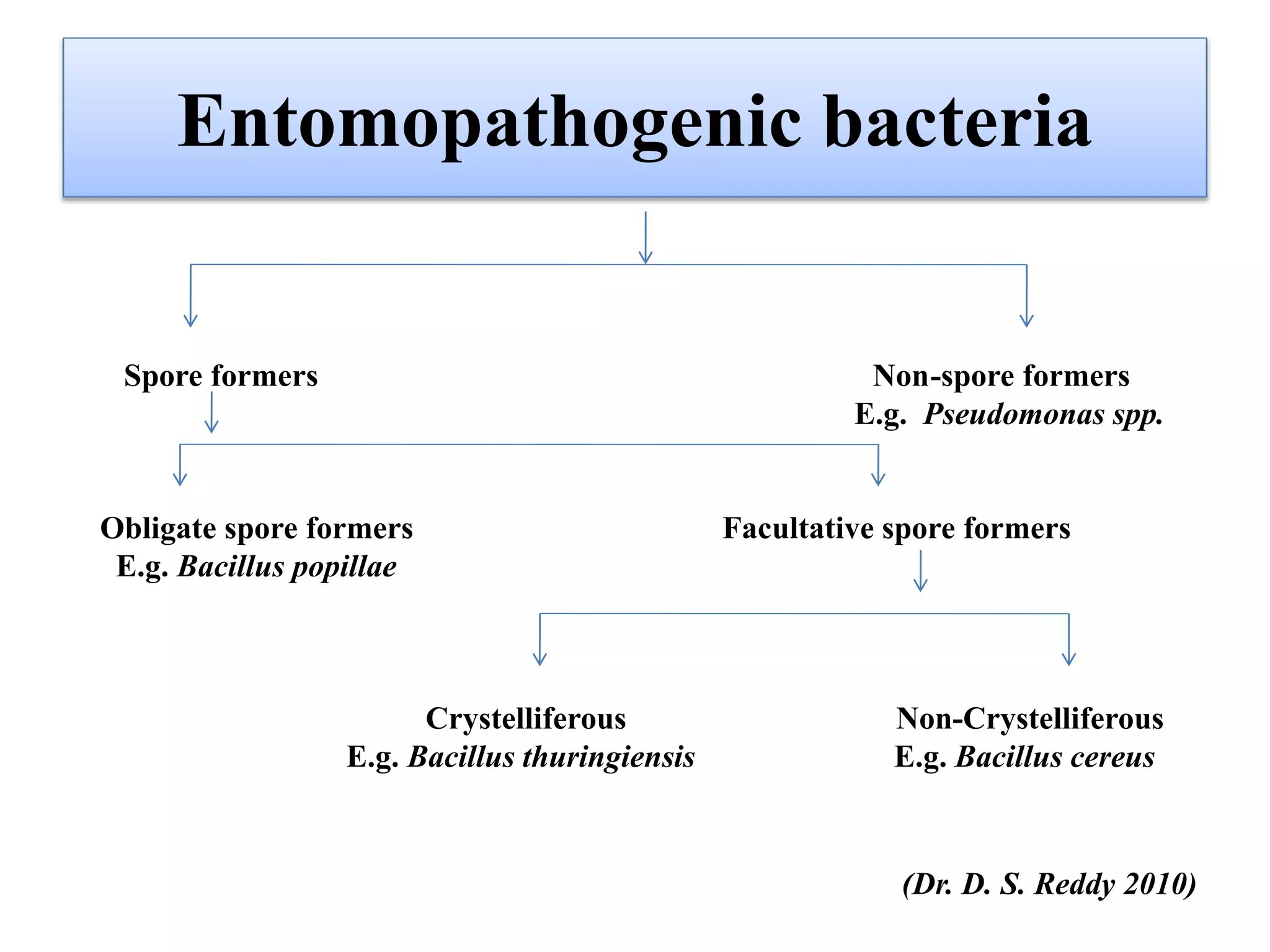 entomopathogenic microbes in the management of insect | PPTX | Beekeeping | Hobbies & Interests