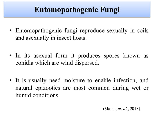 entomopathogenic microbes in the management of insect | PPTX ...