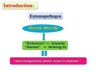 entomopathogenic microbes in the management of insect | PPTX ...